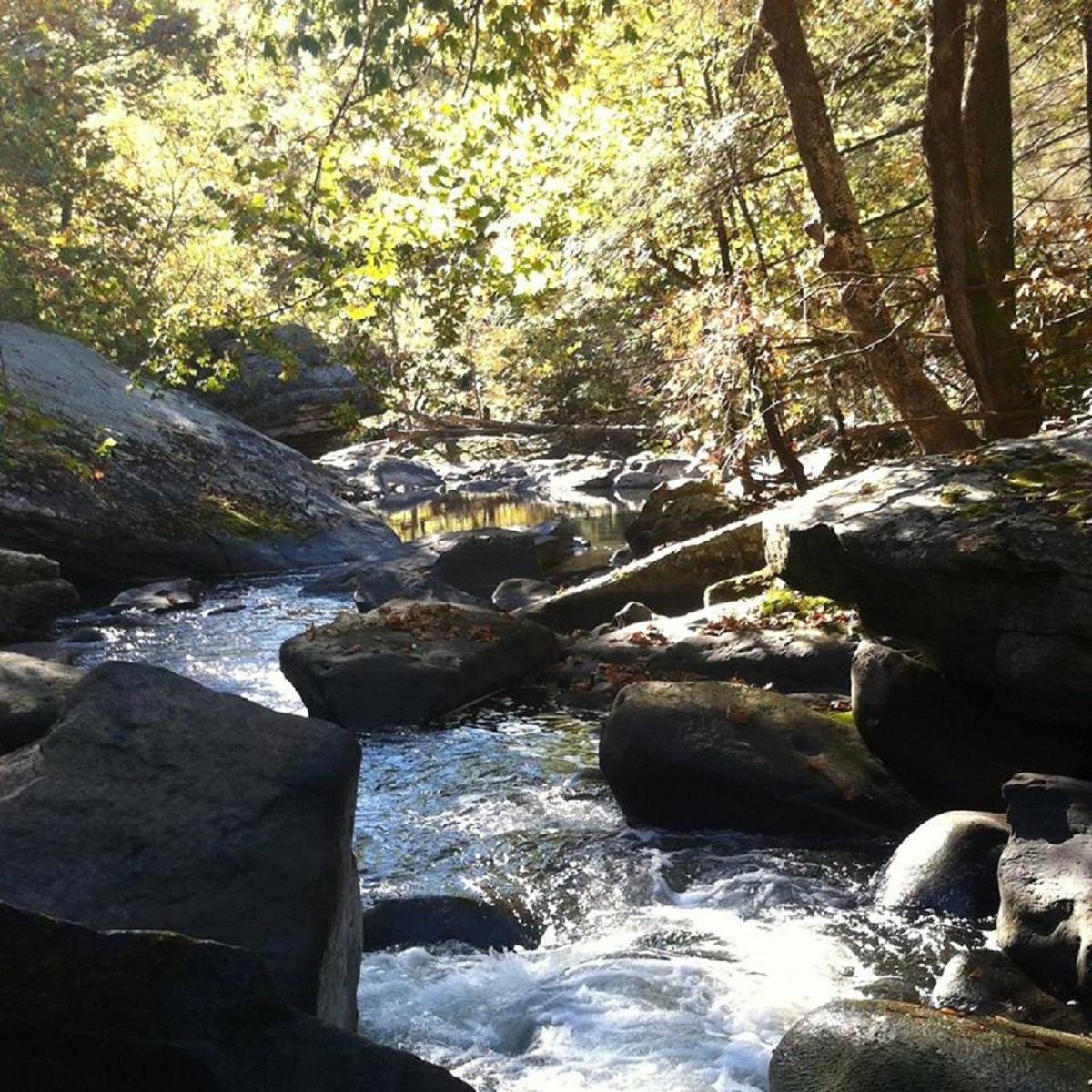 Guest River Gorge Trail