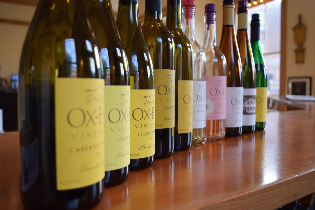 Ox-Eye Vineyards Tasting Room