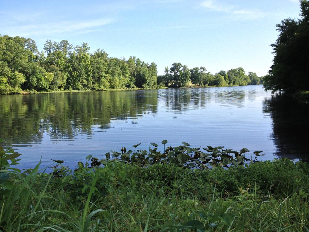 Lake Gordon