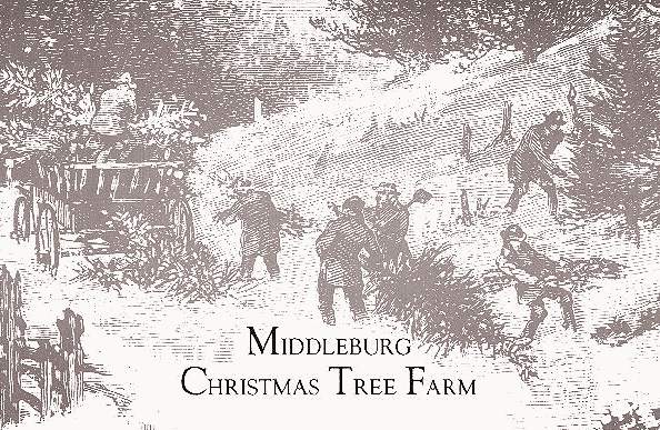 Middleburg Christmas Tree Farm