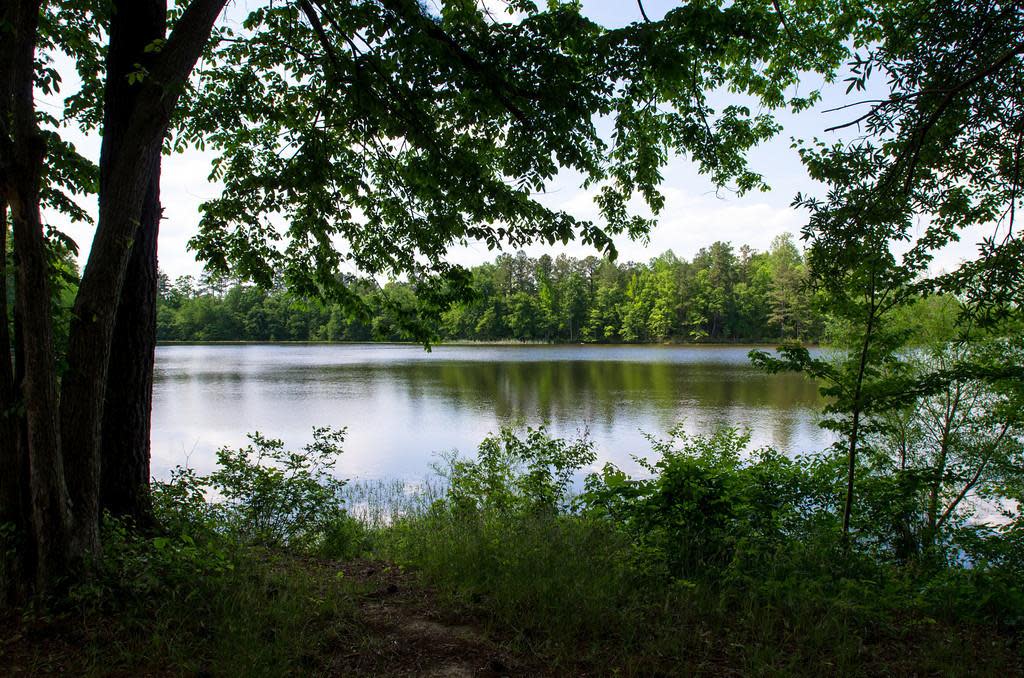 The Life on Lake Chesdin