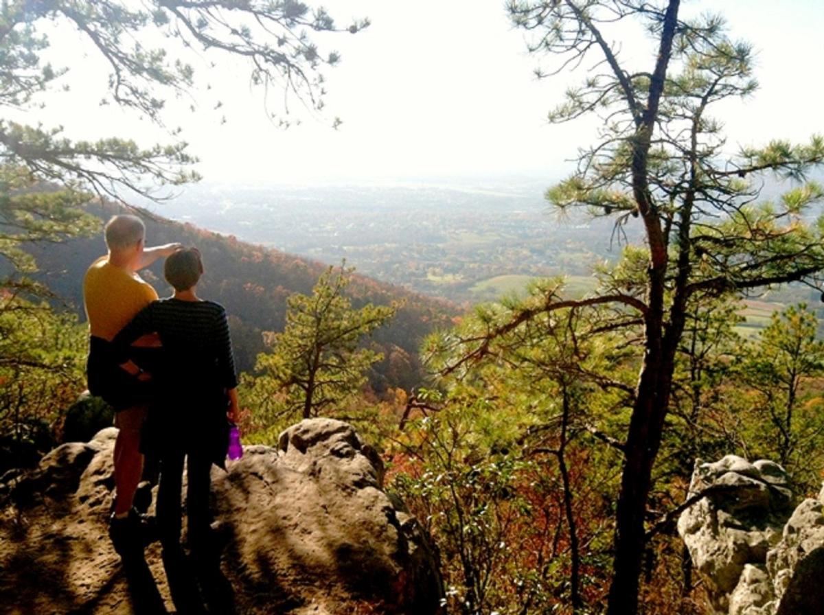 Read Mountain Preserve