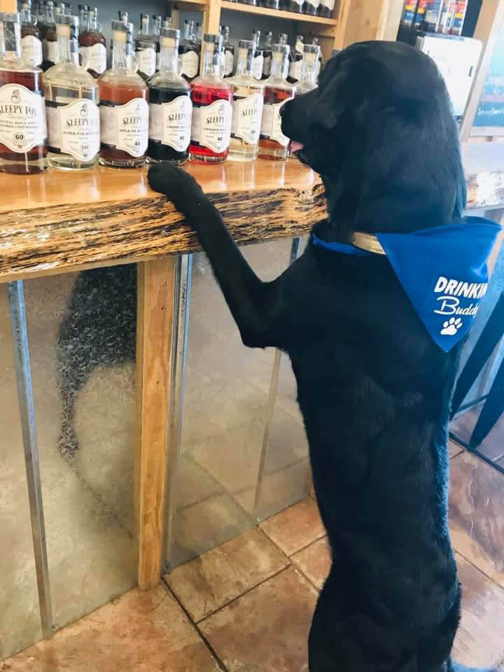 Sleepy Fox Distillery