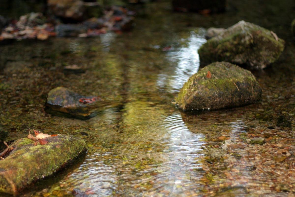 Bubbling Springs Recreation Area