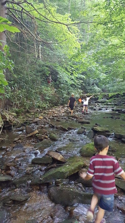 Cane Patch Campground