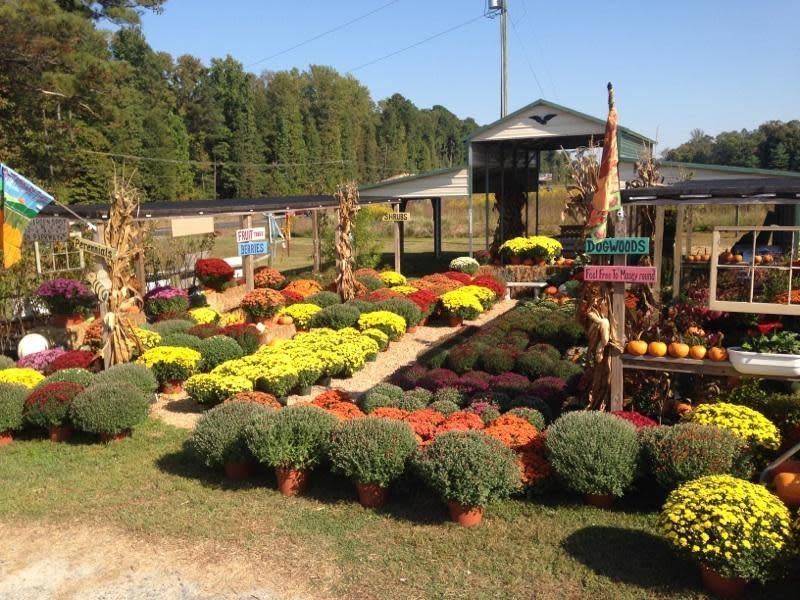 Grayson & Emma's Garden Spot