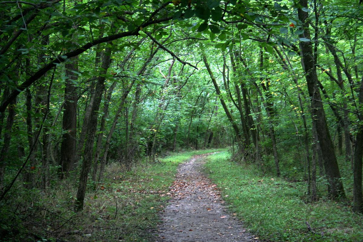 Five Forks Trail System