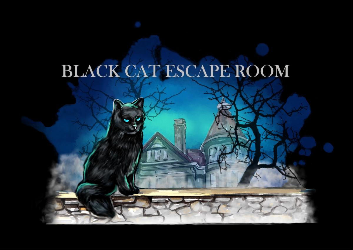 Black Cat Escape Room