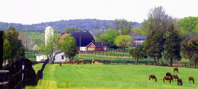 Wolf Trap Farm