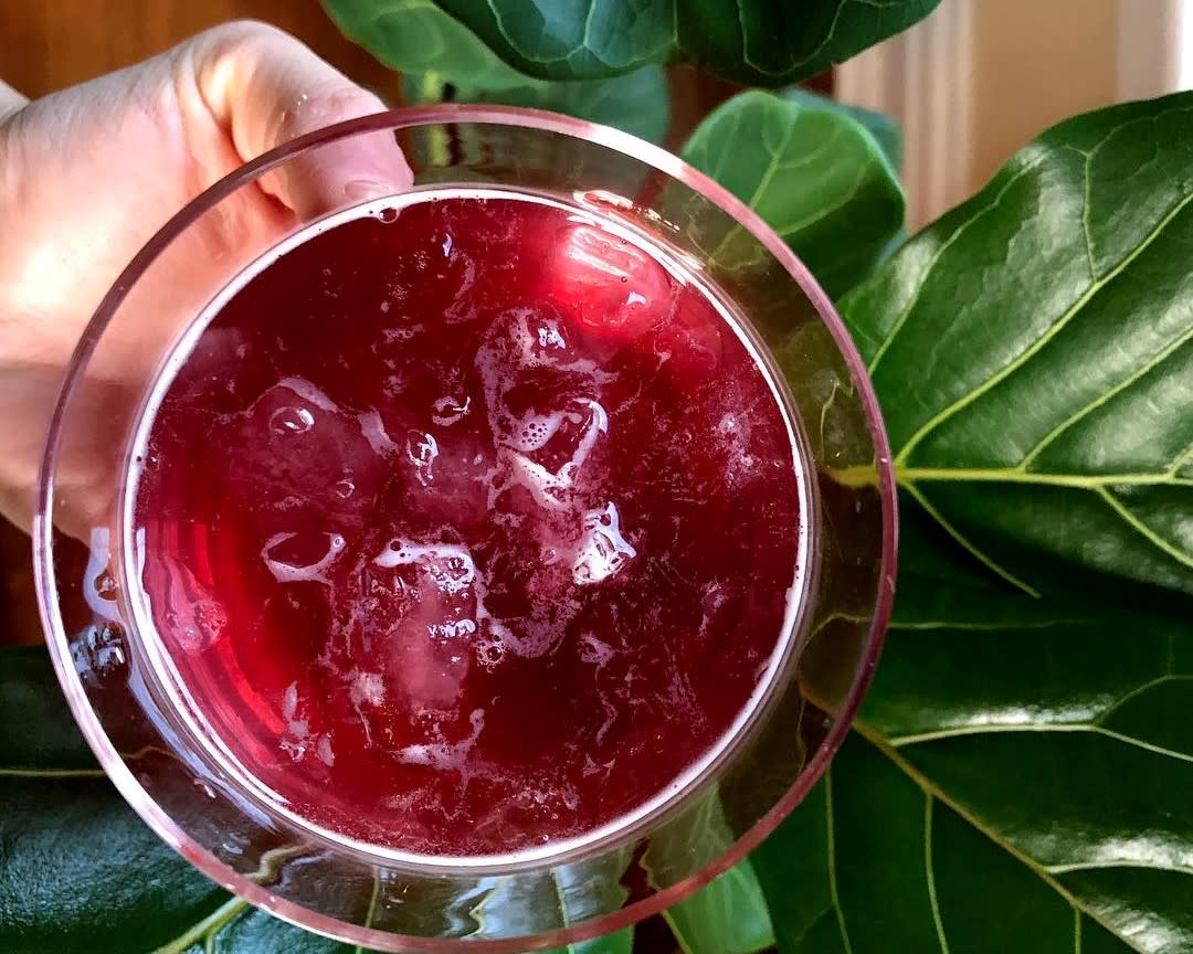 Ninja Kombucha Brewing Co.