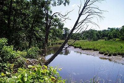 Explore Virginia's Northern Neck