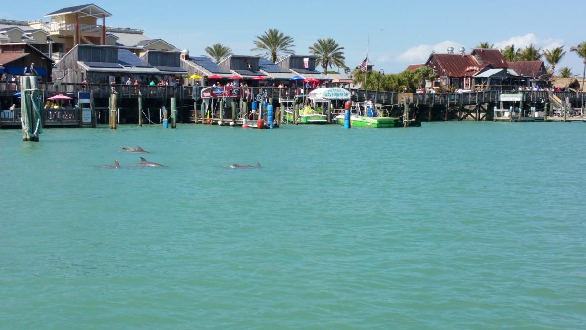 Madeira Bay Resort By Travel Resort Services in Madeira Beach | VISIT ...