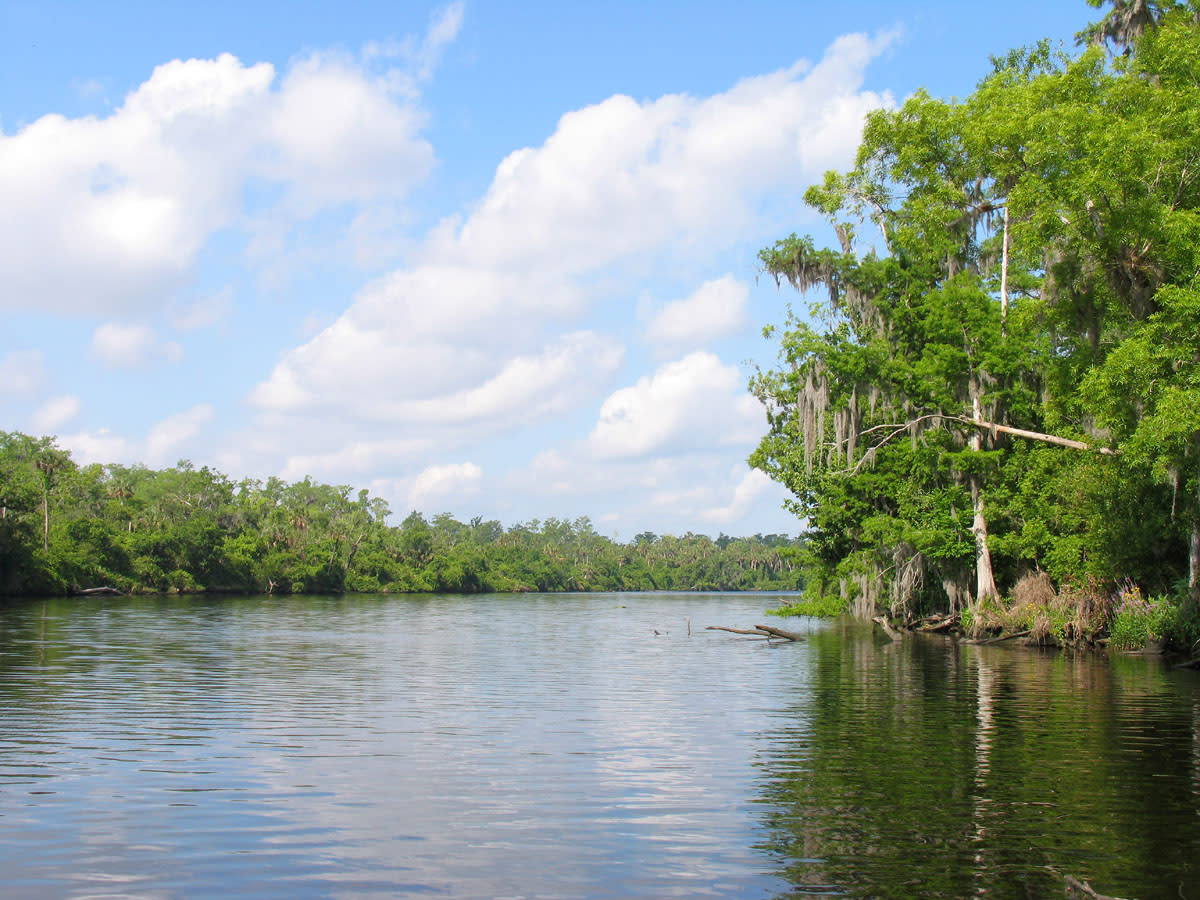 Charlotte County Blueways in Port Charlotte | VISIT FLORIDA