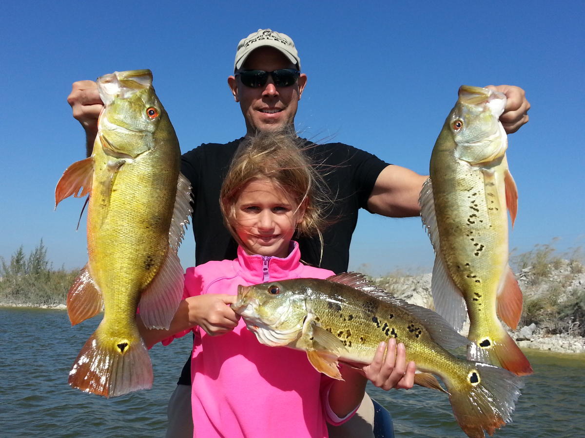 Florida Peacock Bass in Davie | VISIT FLORIDA