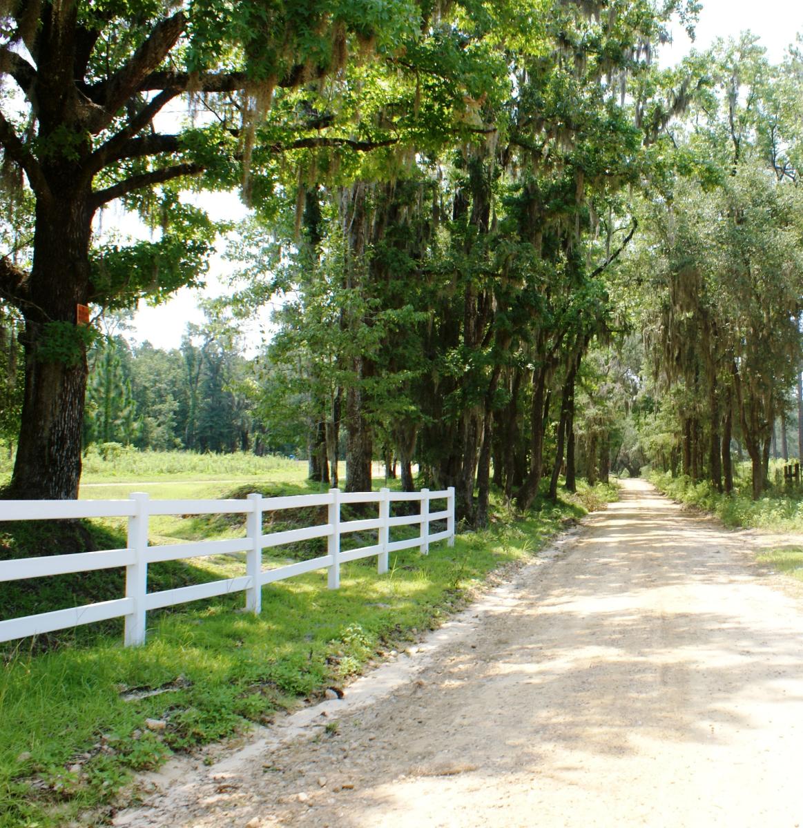 Main Street Monticello Florida, Inc. in Monticello | VISIT FLORIDA