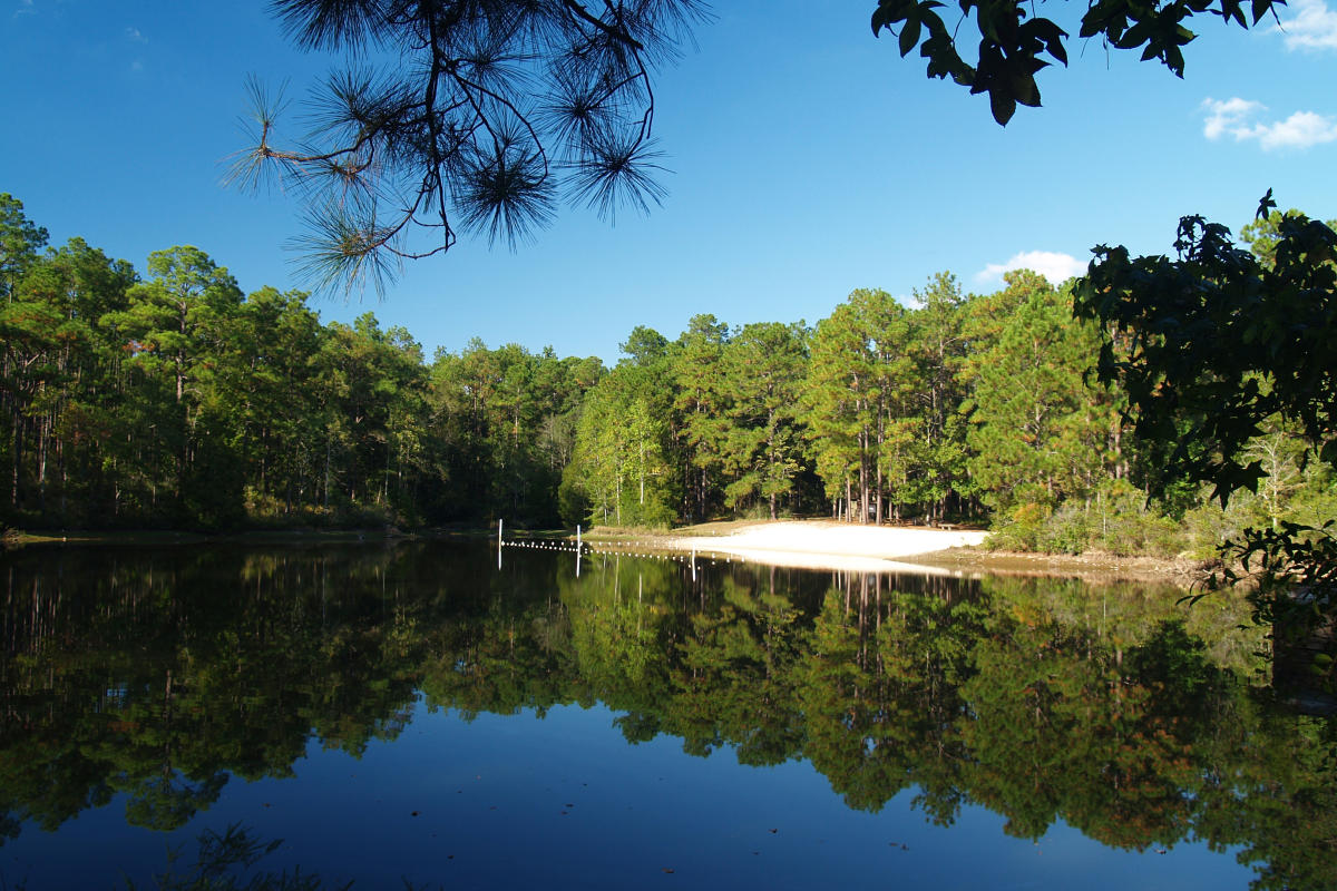 Falling Waters State Park in Chipley | VISIT FLORIDA