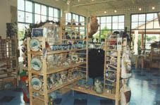 Manatee Observation and Education Center in Fort Pierce | VISIT FLORIDA