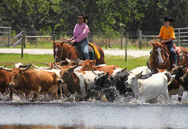 Westgate River Ranch Resort in River Ranch | VISIT FLORIDA