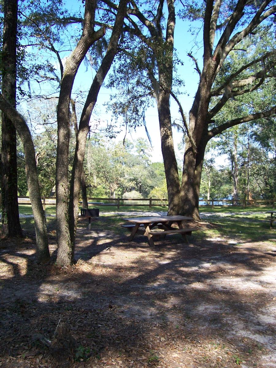 Troy Spring State Park in Branford | VISIT FLORIDA