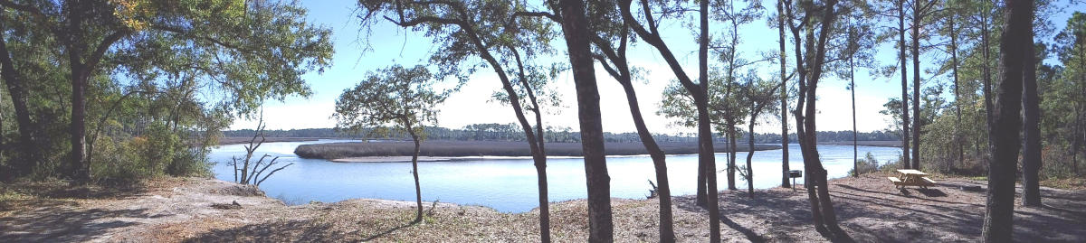 Tate's Hell State Forest in Carrabelle | VISIT FLORIDA