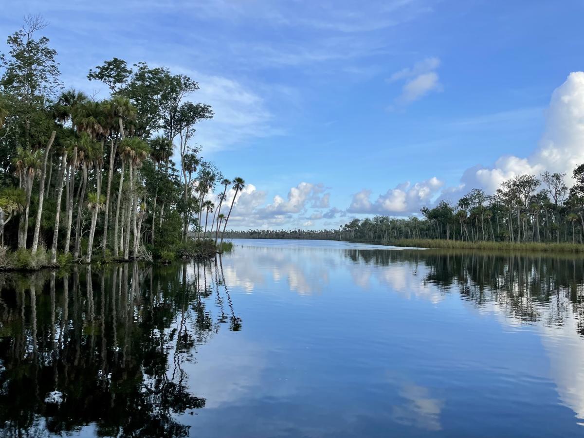 Buccaneer Westcoast Charters in Homosassa | VISIT FLORIDA