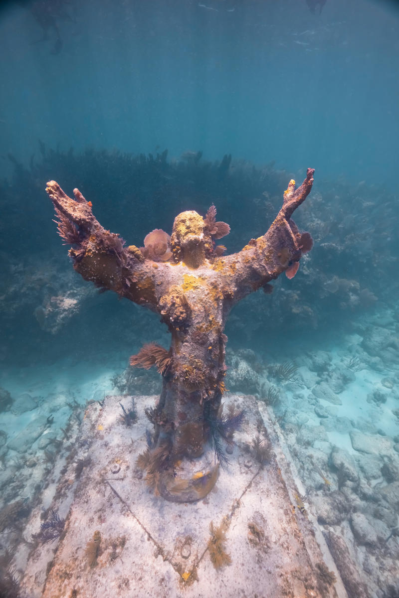 Silent World Dive Center in Key Largo | VISIT FLORIDA