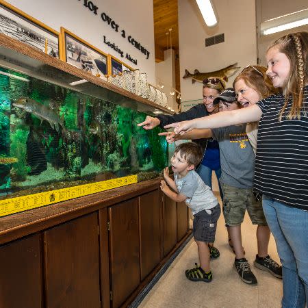 Spooner Fish Hatchery