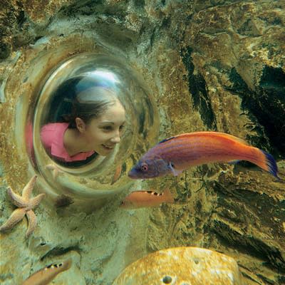 SEA LIFE Aquarium