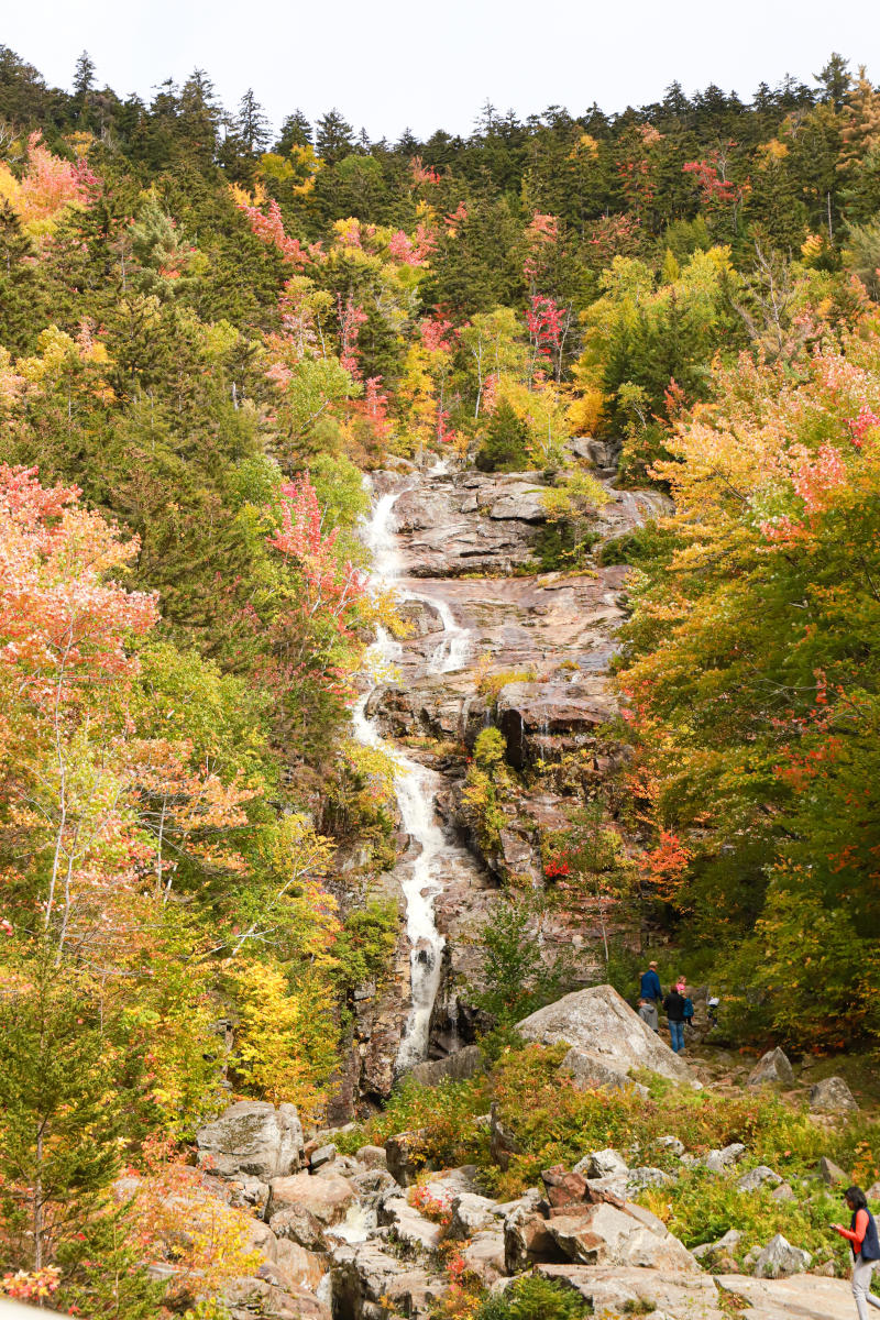 Silver Cascade | Bretton Woods, NH