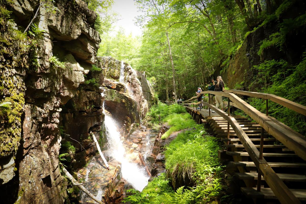 Avalanche Falls | Lincoln, NH