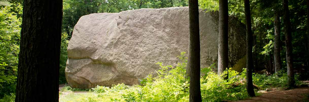 Madison Boulder Natural Area | Madison, NH