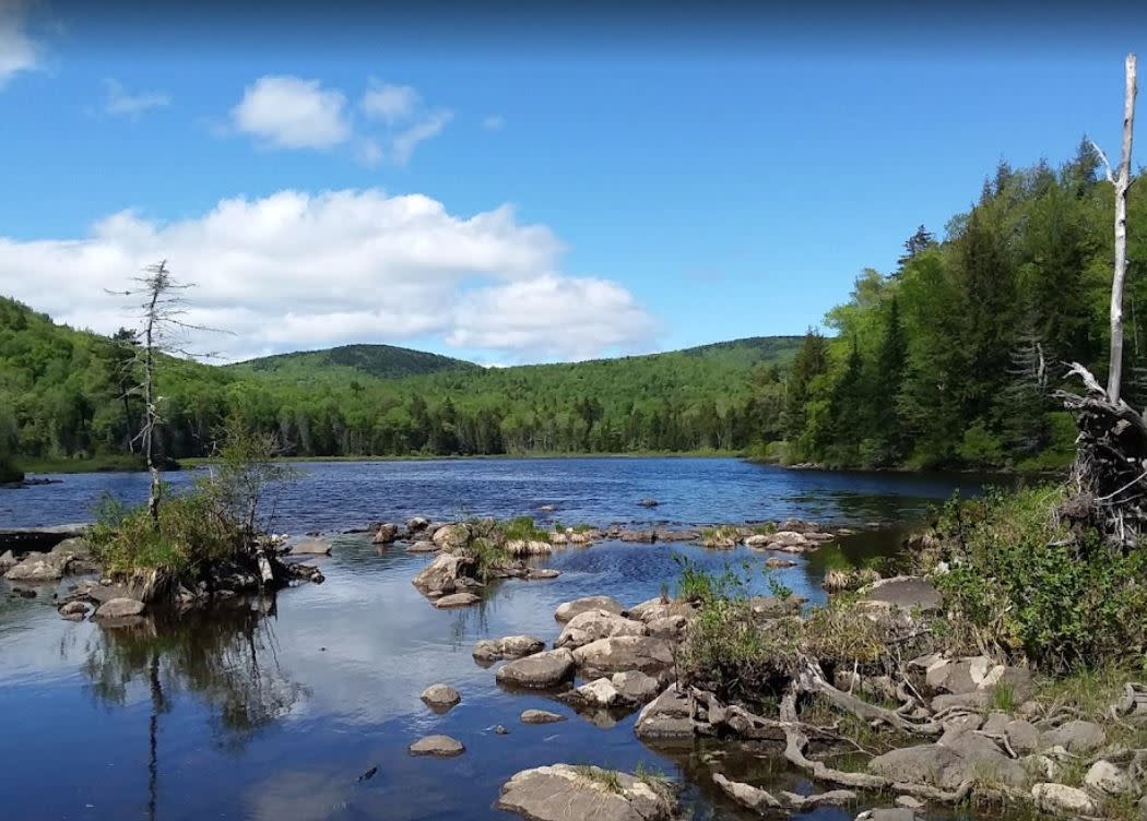 Three Ponds Trail | Warren, NH