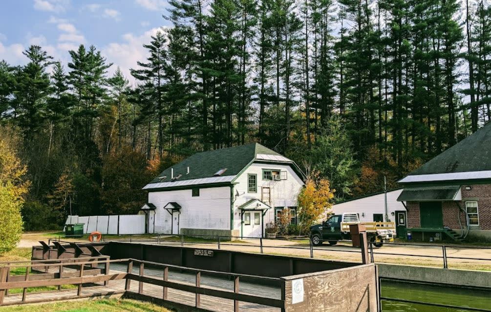 Warren Wildlife Center at Warren Fish Hatchery | Warren, NH