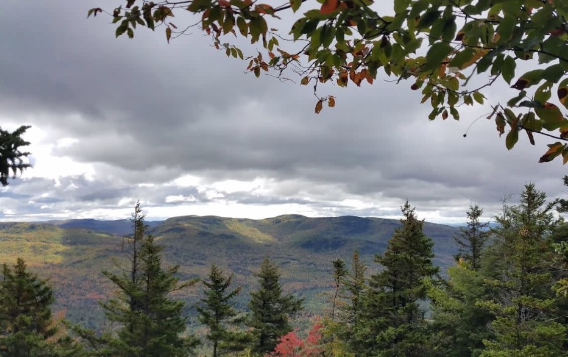 Welch-Dickey Loop Trail | Waterville Valley, NH