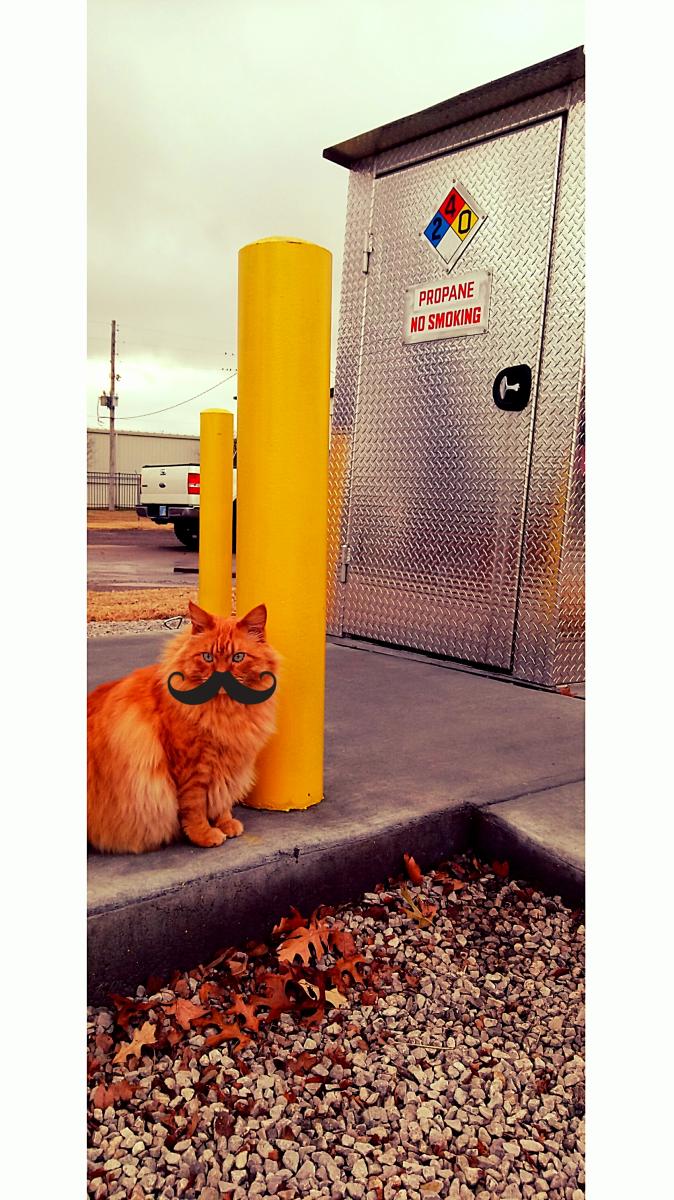 Camp The Range RV Park