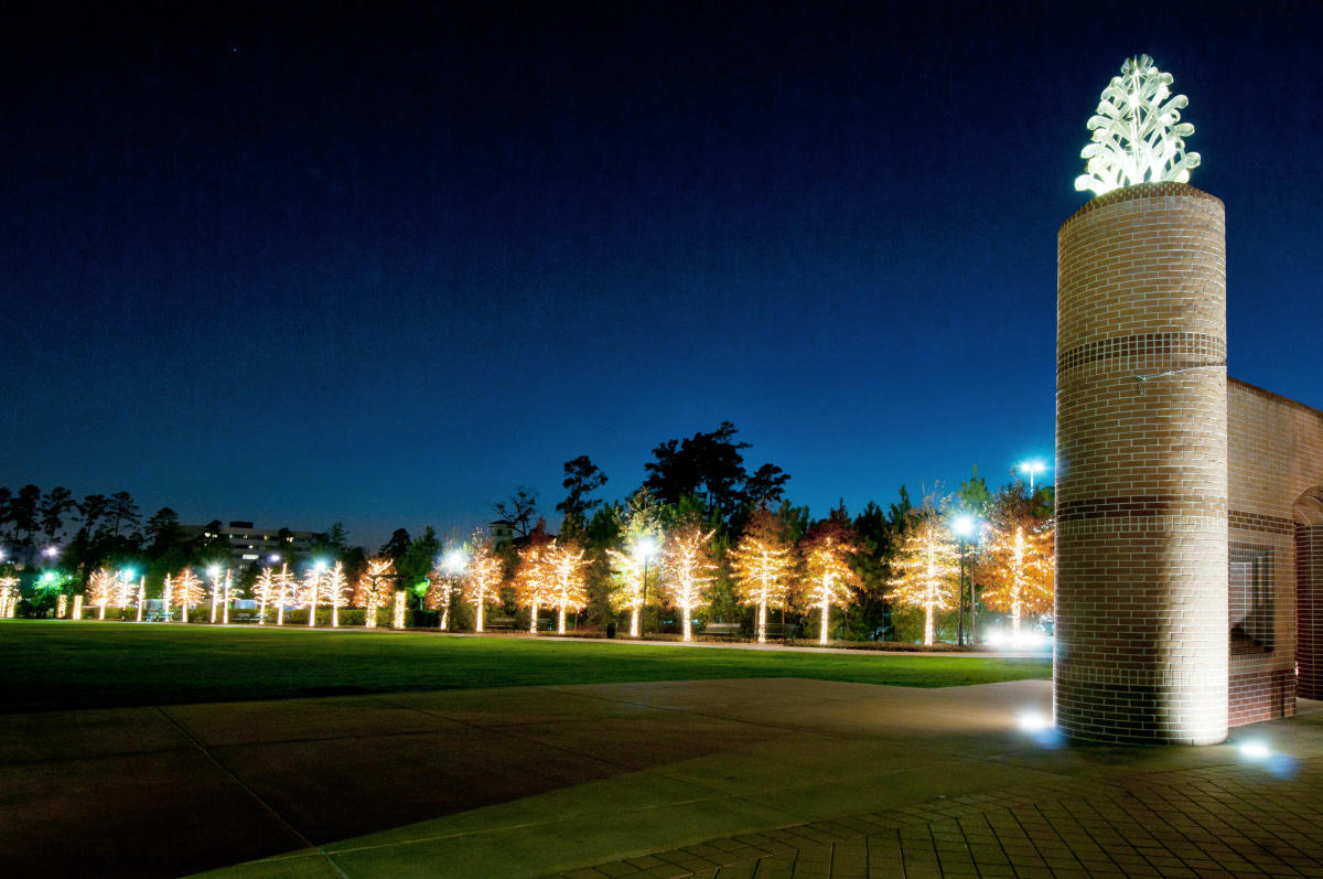 Town Green Park