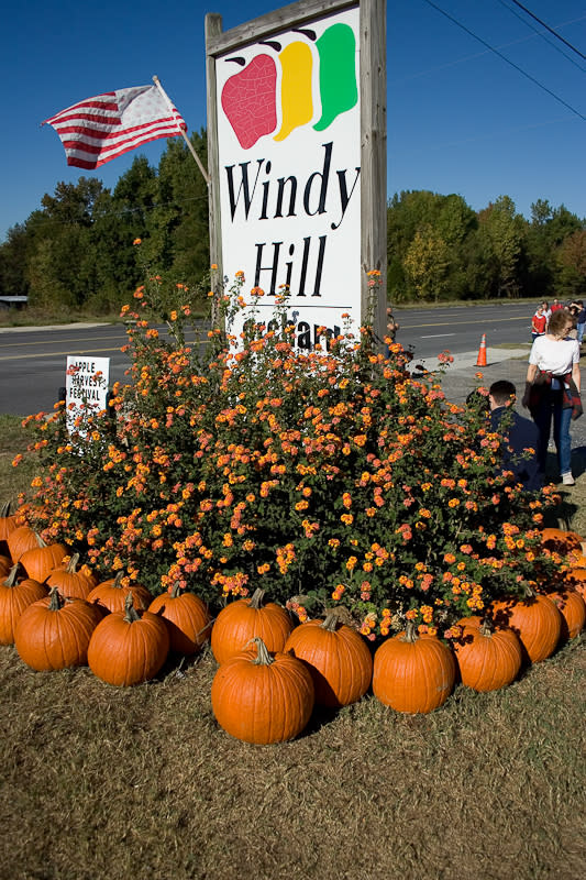 Windy Hill Orchard and Cider Mill