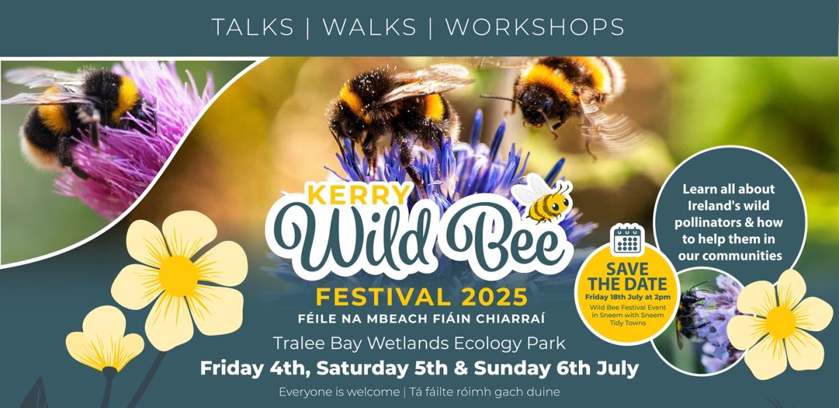 Kerry Wild Bee Festival 2025 - Discover Kerry