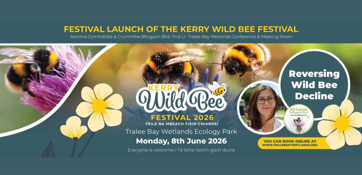 Kerry Wild Bee Festival Launch - Discover Kerry
