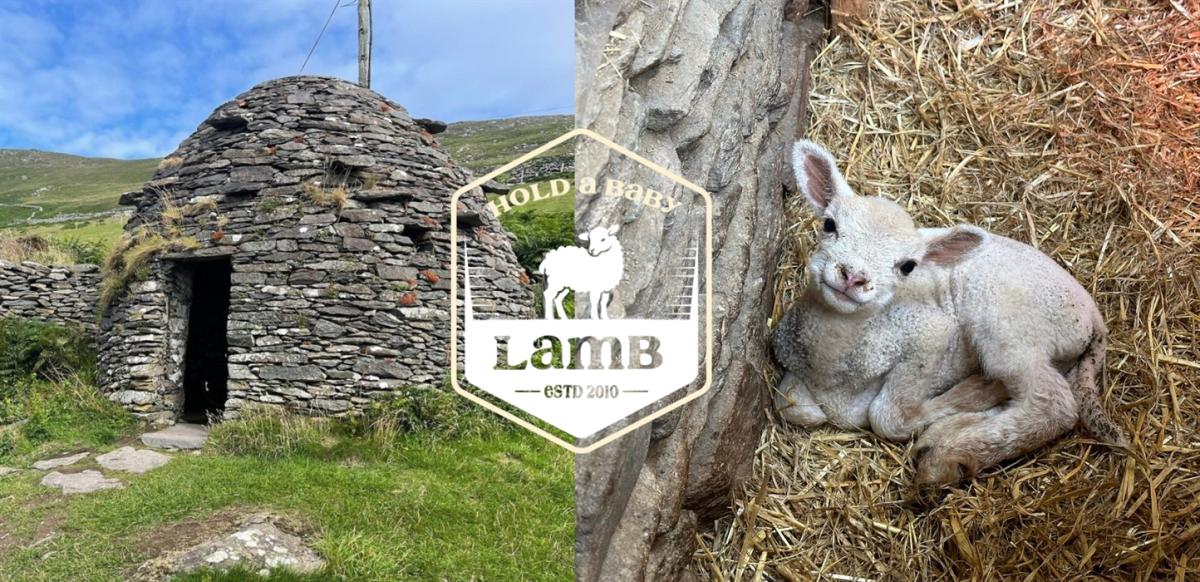 Beehive Huts & Hold a baby Lamb - Discover Kerry