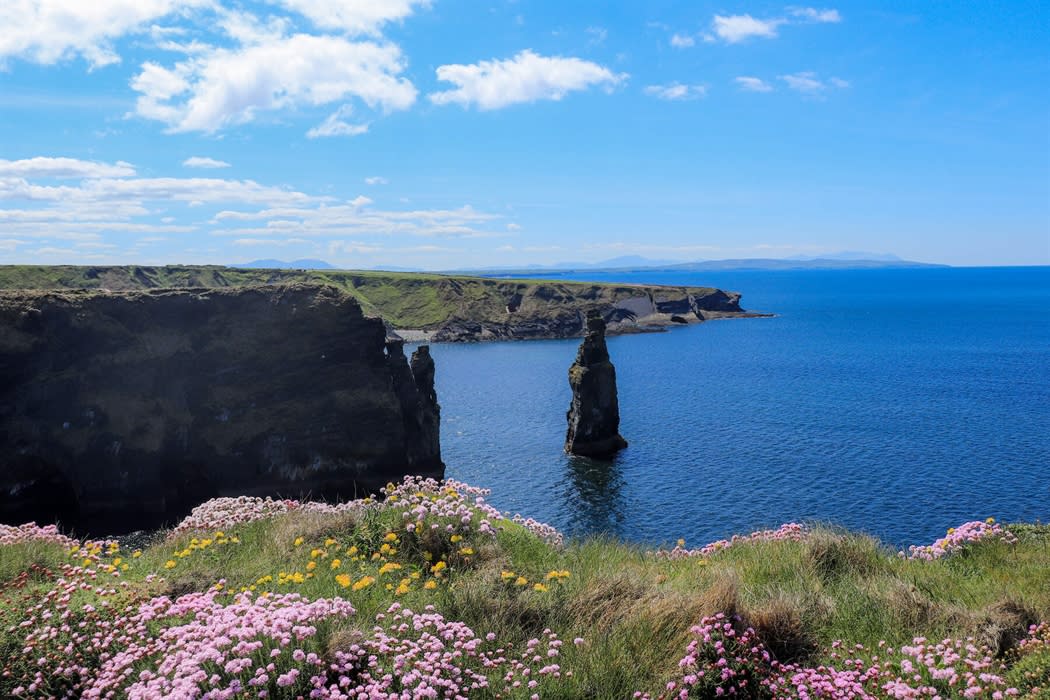 Bromore Cliffs - Discover Kerry