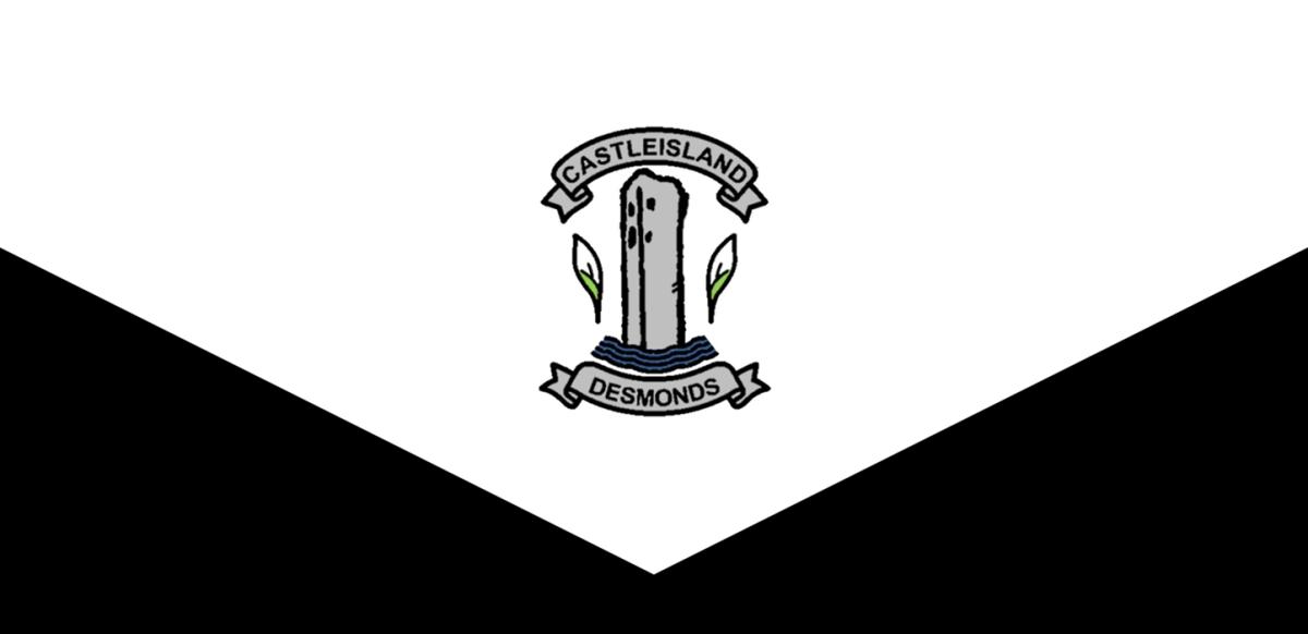 Castleisland Desmonds GAA - Discover Kerry