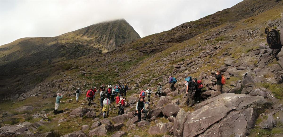 Morrison Tours - Discover Kerry