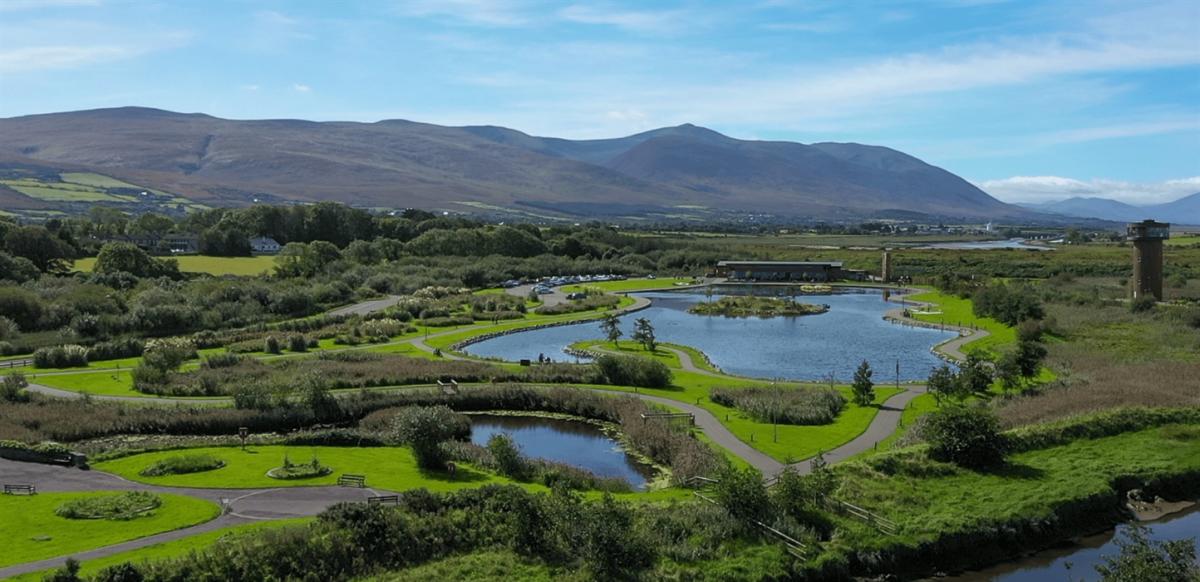 Nature Walk - Birds of Tralee Bay - Discover Kerry