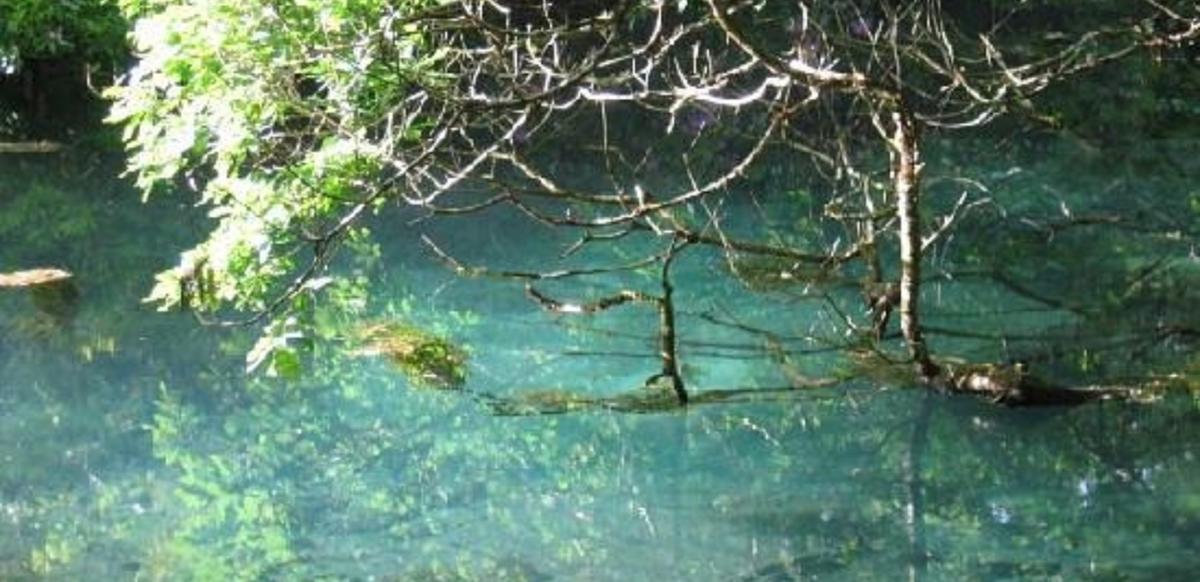 The Blue Pool Nature Trail