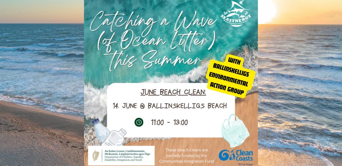 June Beach Clean with BEAG - Visit Kerry