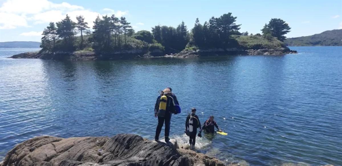 Kenmare Bay Diving - Discover Kerry