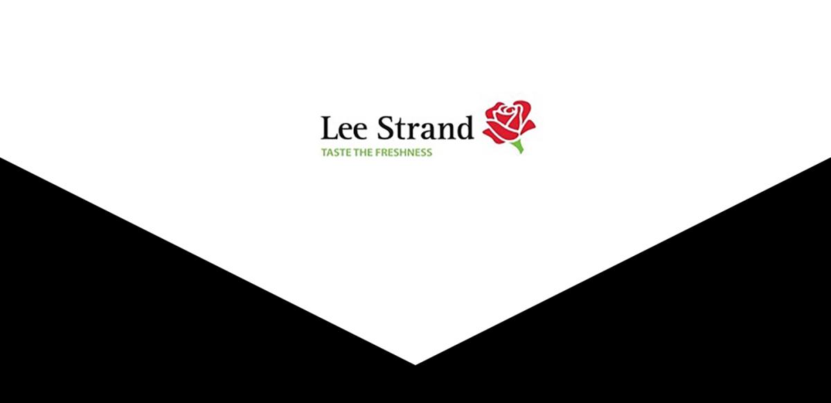 Lee Strand