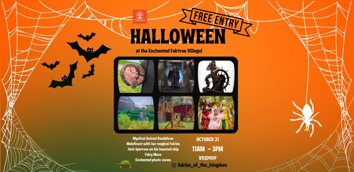 Halloween at the Enchanted Fairtree Village! - Discover Kerry