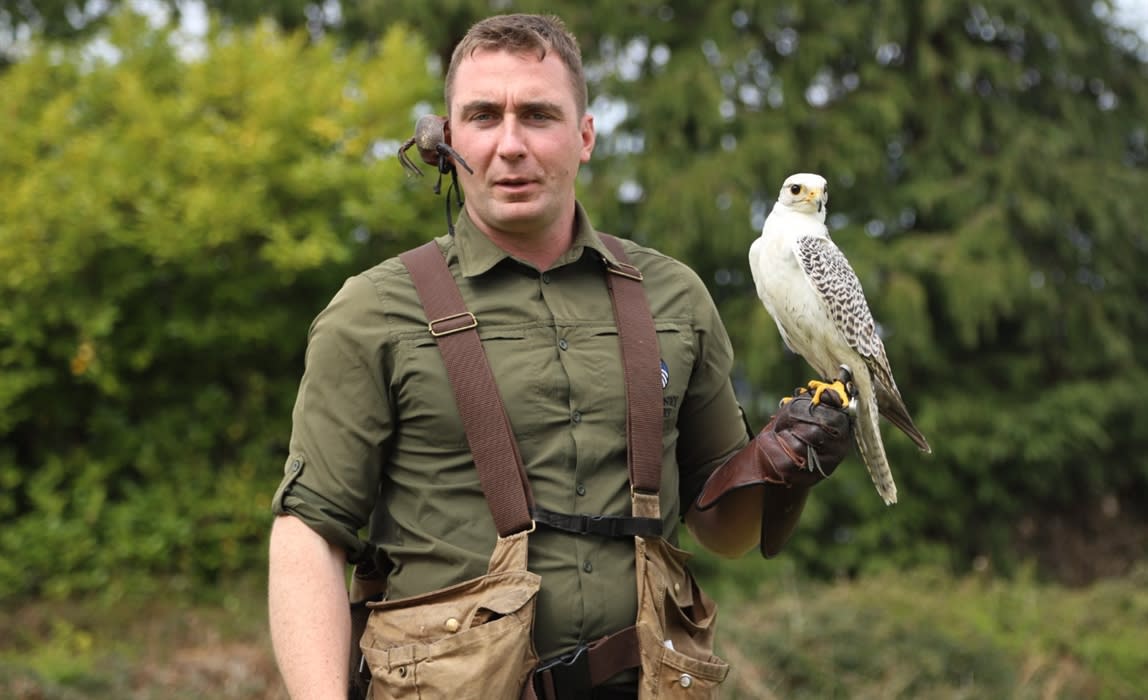 Falconry Kerry